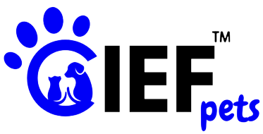 Import and Export Services – CIEF Pets